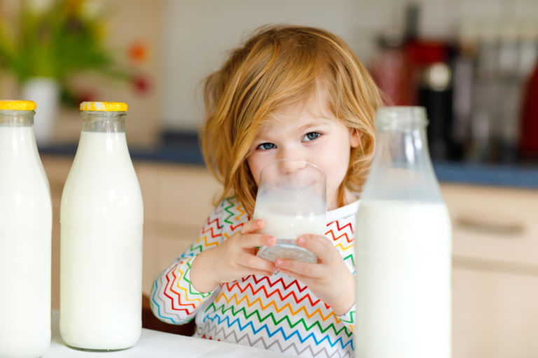The Surprising Benefits of Camel Milk for Babies and Children