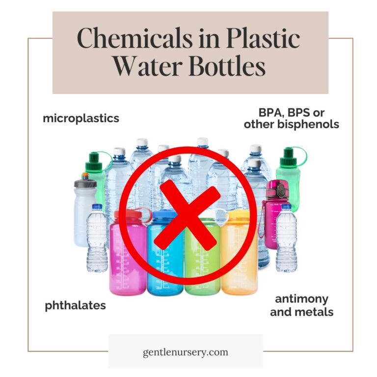 The Safest Non-Toxic Water Bottles for Kids That Actually Keep Drinks Cold