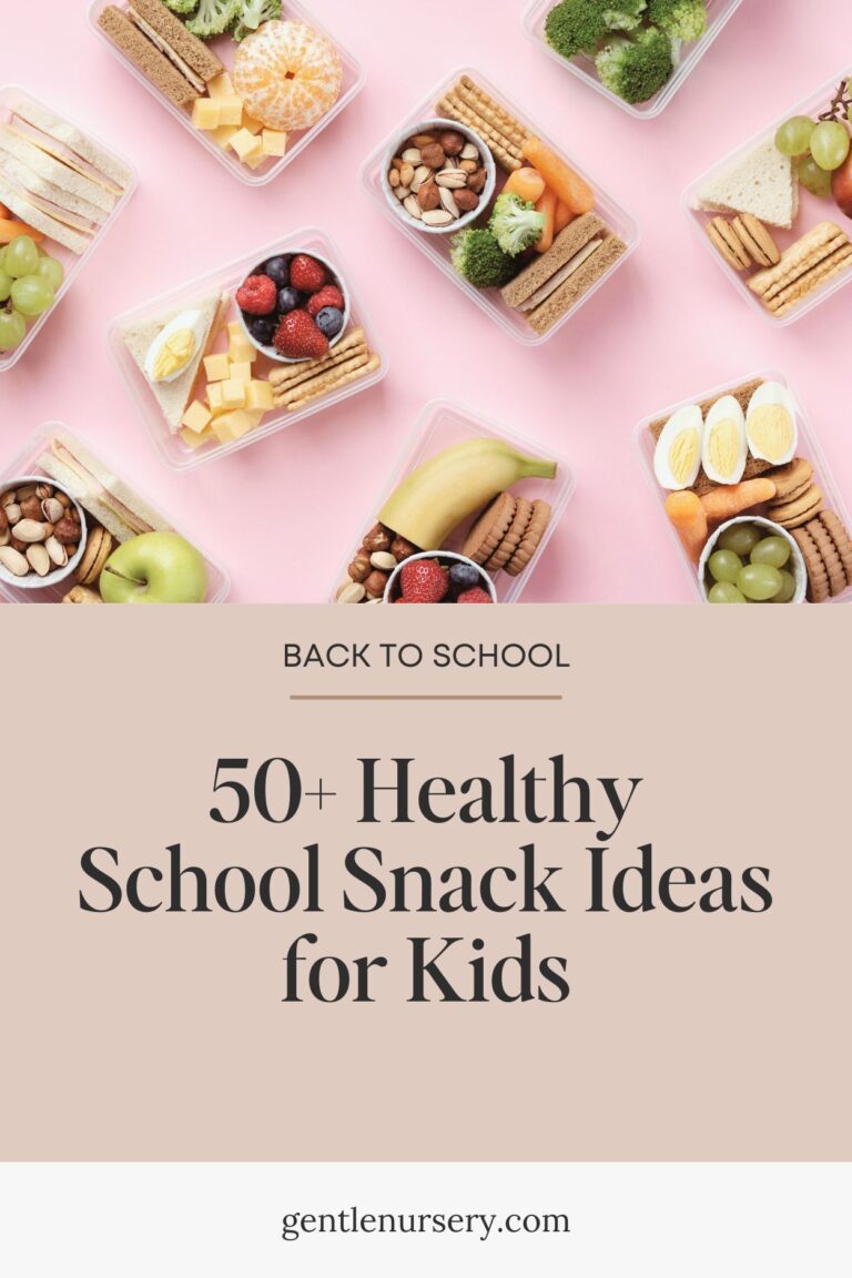 50+ Healthy School Snack Ideas for Kids