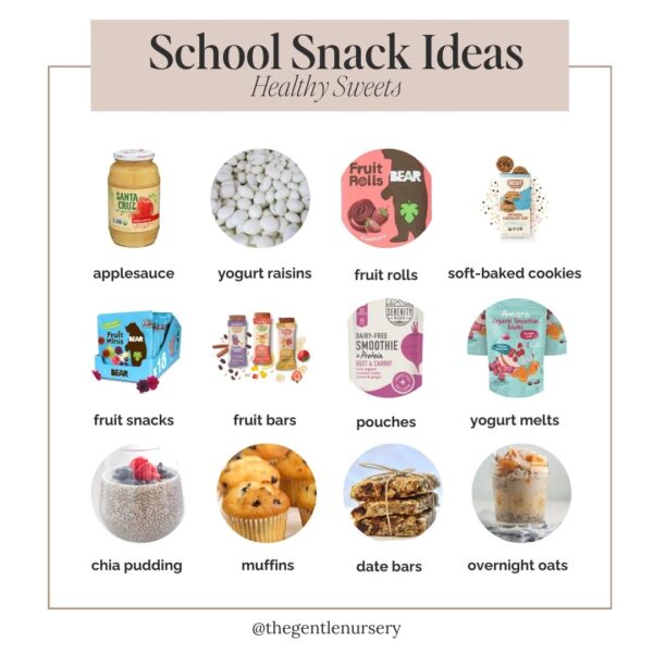 50+ Healthy School Snack Ideas for Kids