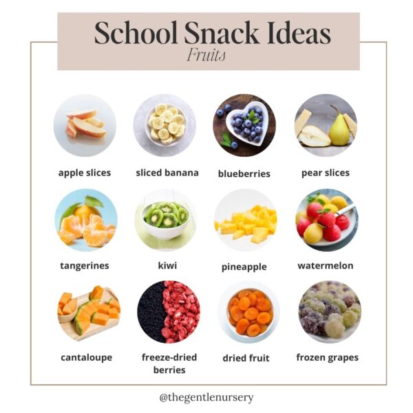 50+ Healthy School Snack Ideas for Kids